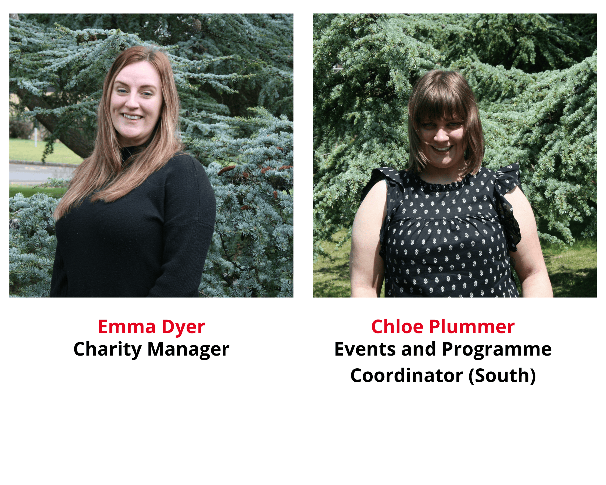 The MOVE Team - MOVE Europe